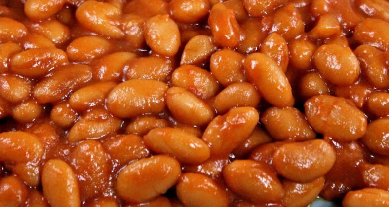 Understanding the In-Flight Meal Experience with TUI